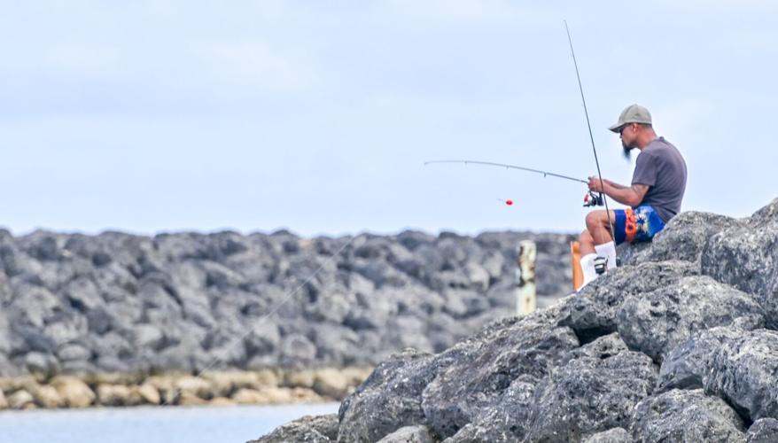Guam’s fish are disappearing; island scientists now have data to show ...