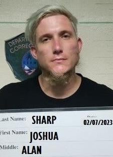 Man pleads guilty to possession, intent to distribute meth found in 'crotch area' | Local News ...