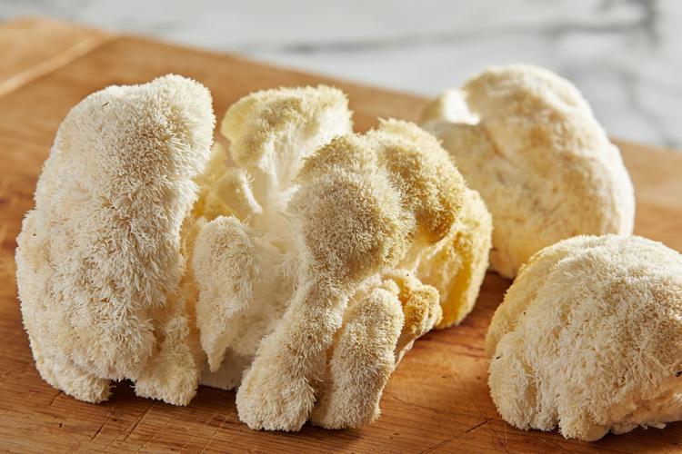 how to make lions mane extract