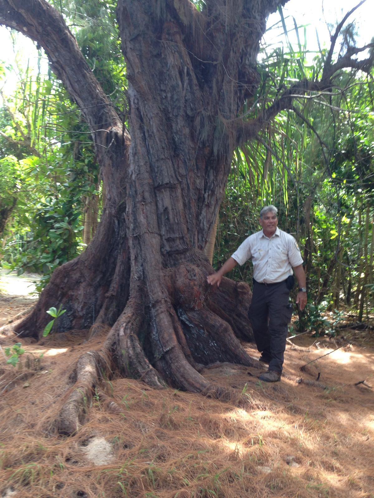 Remnants of ancient Guam rooted in Ritidian | Lifestyle | postguam.com