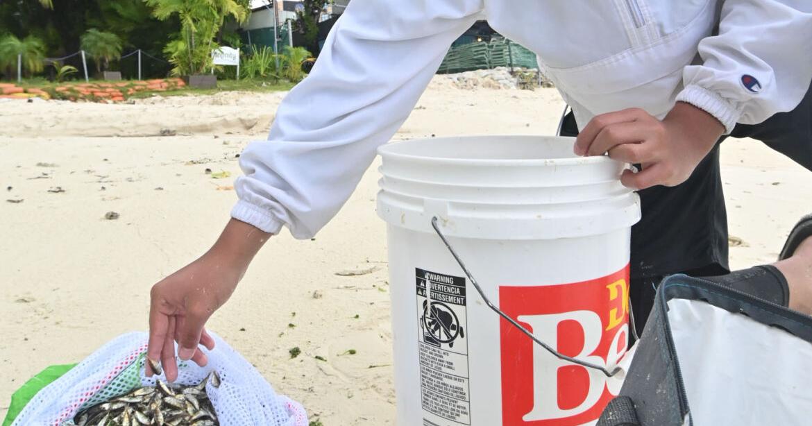 Fishing for mañåhak in Tumon Bay | Local News | postguam.com