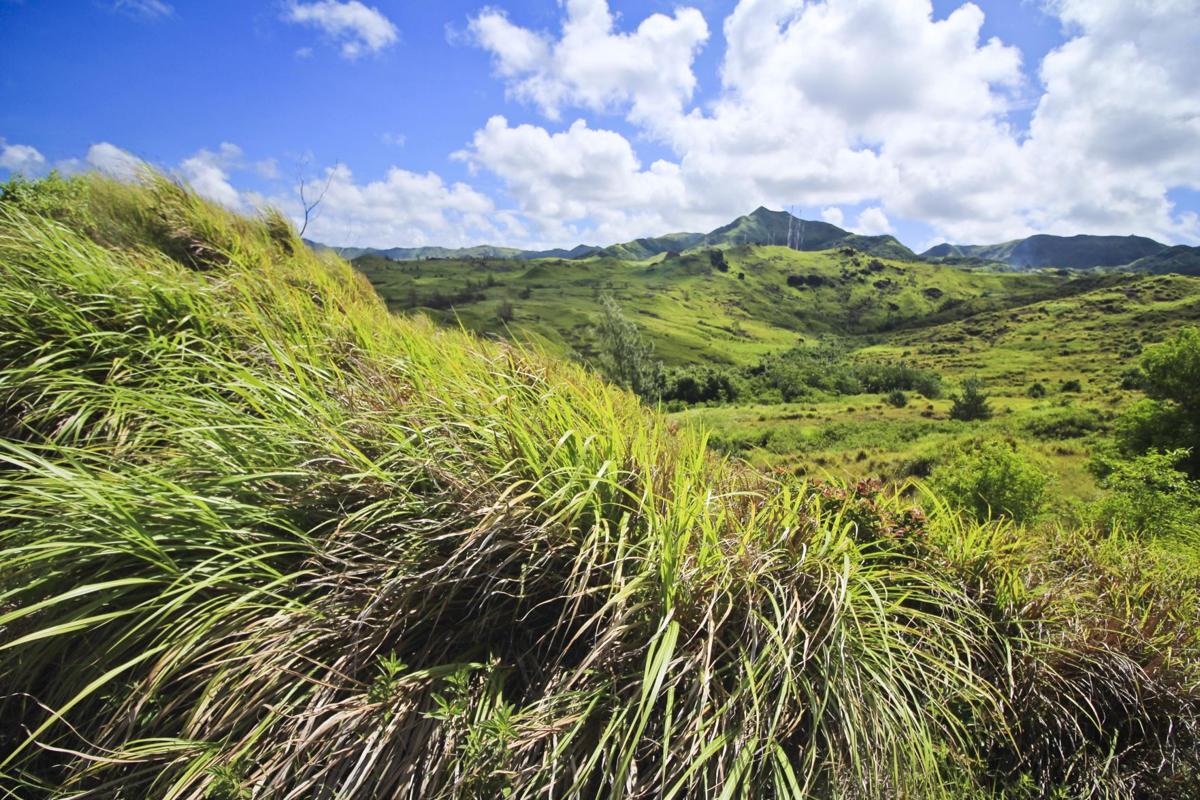 Solemn Merizo hikes that end with a splash | Spots on the Rock ...