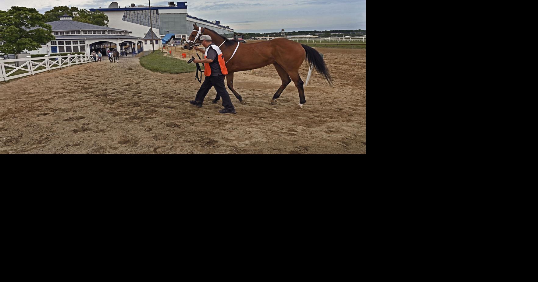 Worry over deaths pervades as horse racing world turns its eyes to ...