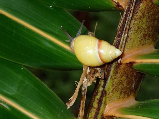 Conservation conference to present research, offer field trips | Local ...