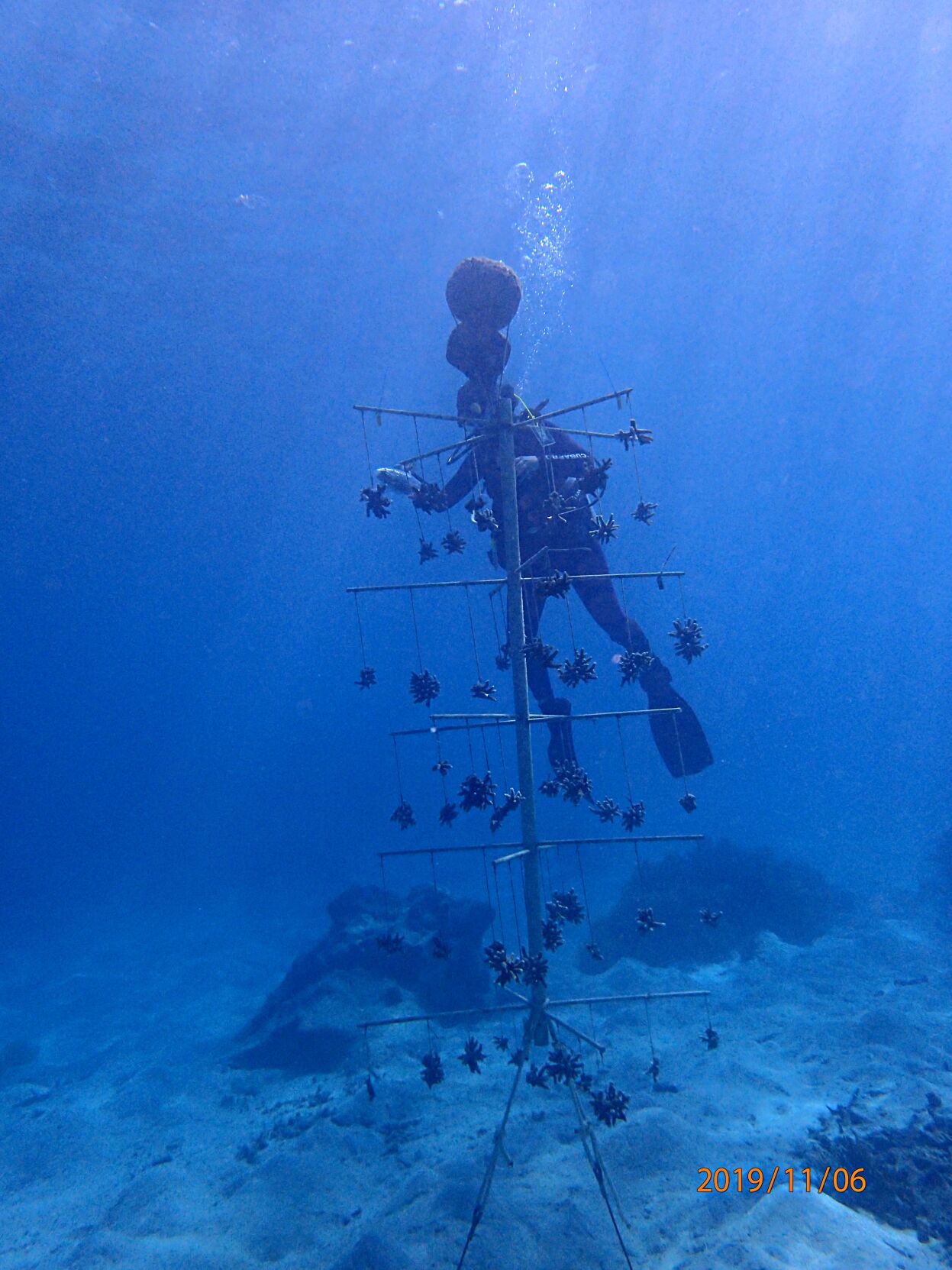 UOG Marine Lab's award-winning team fights to preserve Guam's coral ...