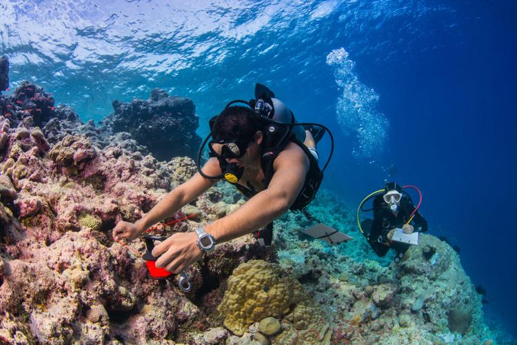 UOG Marine Lab's award-winning team fights to preserve Guam's coral ...