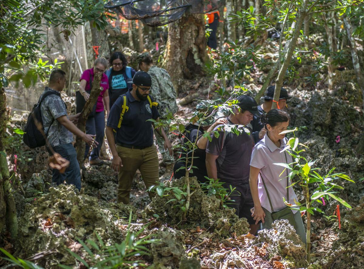 Officials talk partnership to preserve limestone forest | Guam News ...