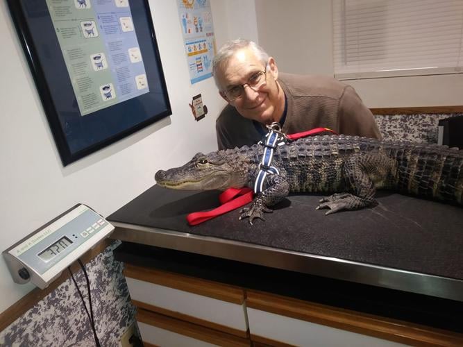 His emotional support animal is an alligator. They sleep in the same ...