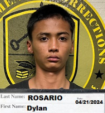 Viral videos lead to 2 men being charged with theft | Local News ...