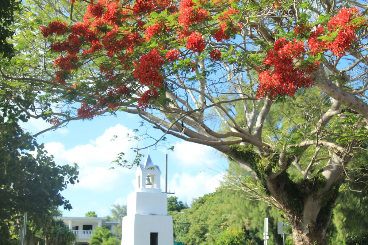 Strolling down south - part 2 | Spots on the Rock | postguam.com