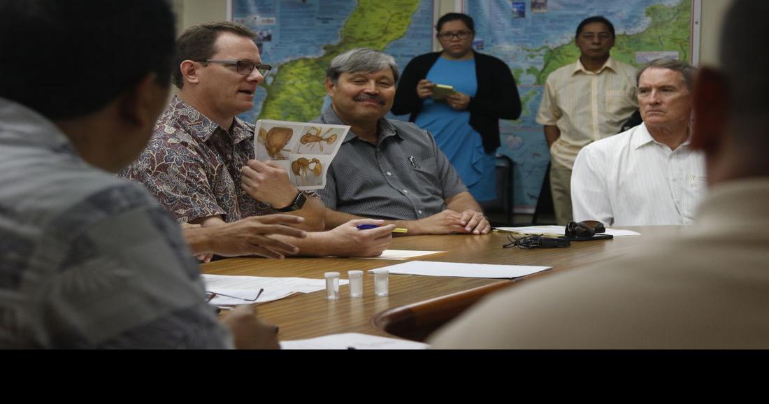 Customs agency concerned about FestPac pest control | Guam News ...