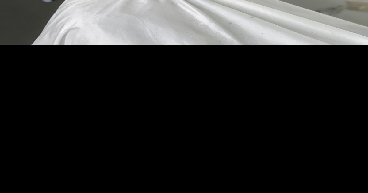 Family-run cosmetology school offering free haircuts for veterans today ...