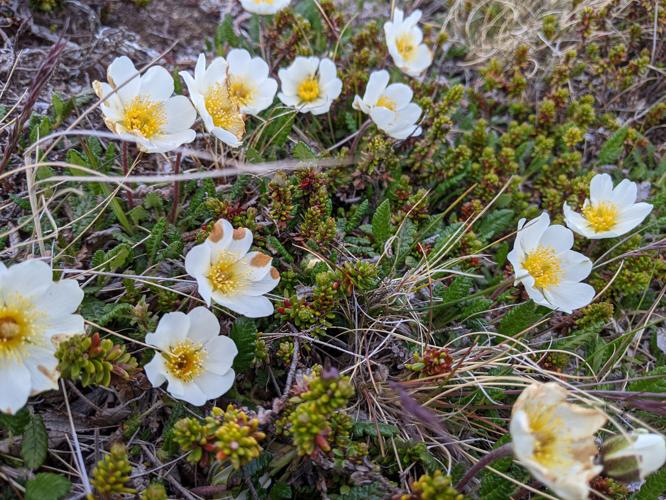 Iceland's new driving route explores the remote north | Lifestyle ...