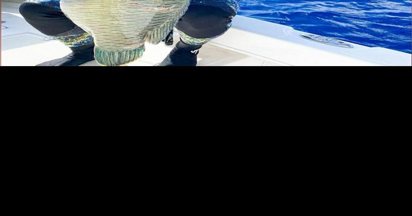 Local clothing line to host spearfishing competition in August | Guam ...