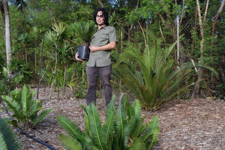 Workshop to discuss Guam's threatened fadang | Local News | postguam.com