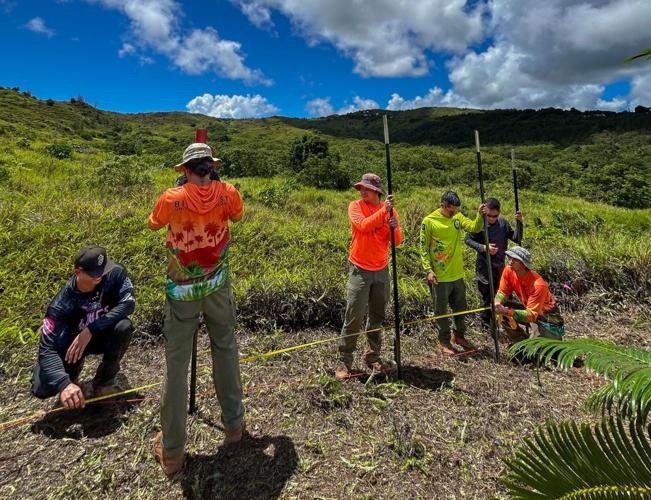 5-year labor of love: UOG plants endangered fadang to preserve ancient ...