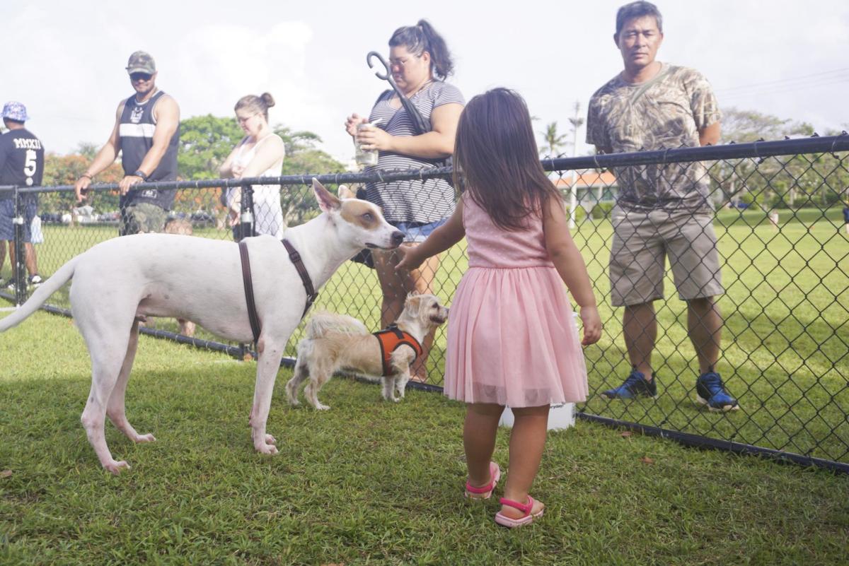 Dog adoption show promotes pet community | Guam News | postguam.com