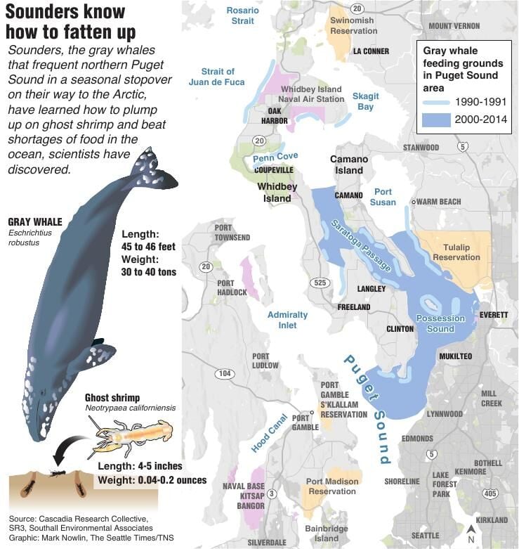 Digging for ghost shrimp at high tide | Lifestyle | postguam.com