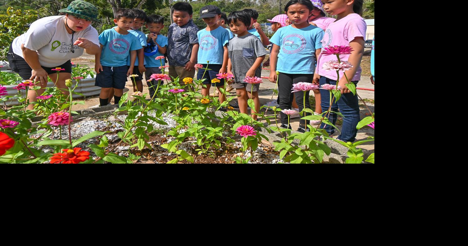 Guåhan Sustainable Culture to host immersive CHamoru language garden ...