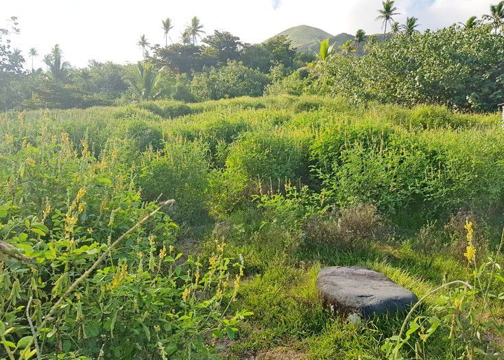 'A special opportunity': Rep. Babauta voyages to Alamagan | CNMI ...
