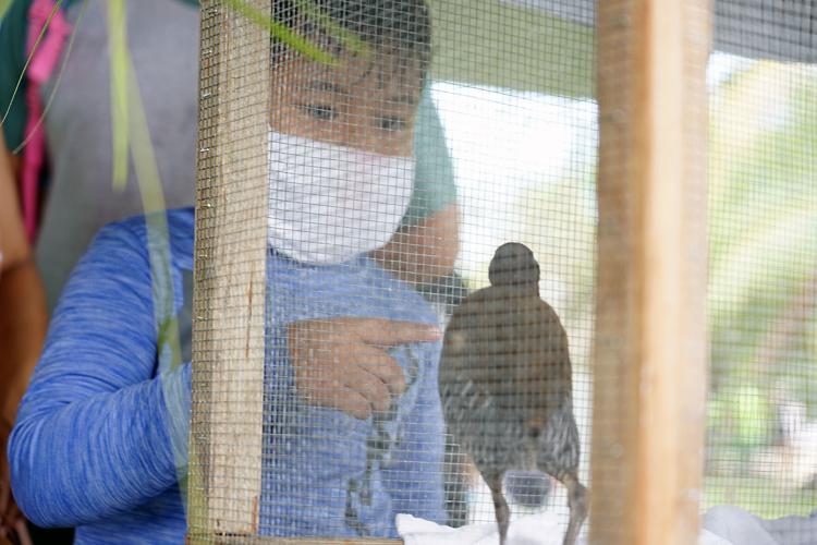 Ko'ko' birds, fire ants and more showcased at Earth Day | Local News ...