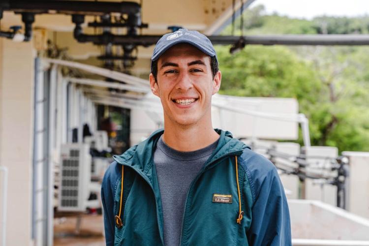 Researchers study 2 populations of upside-down jellyfish | Local News ...