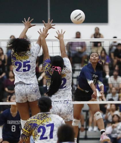 Eagles swat Geckos to win 1st-ever girls volleyball championship ...