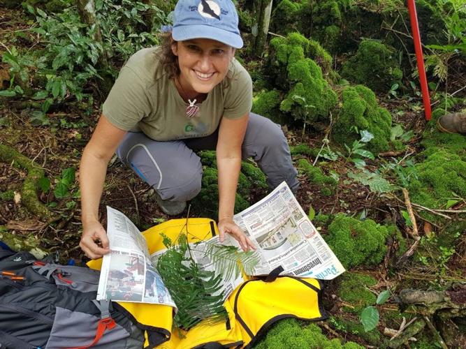 UOG researcher contributes to global plant study, highlighting cultural ...
