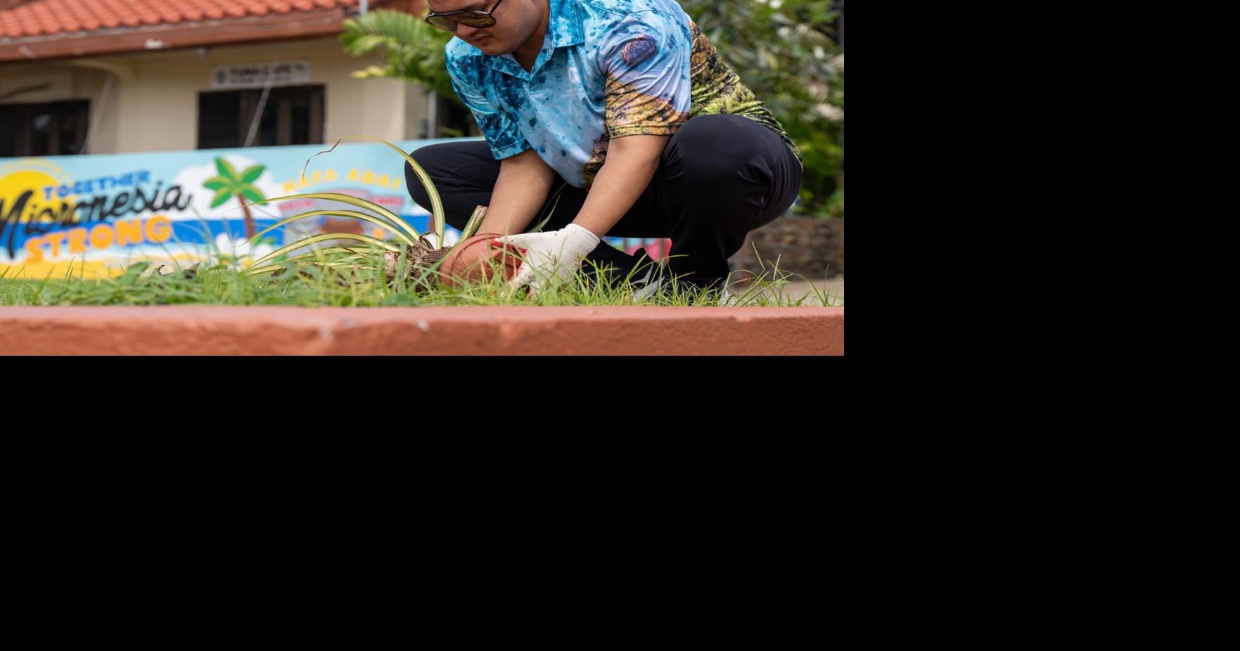 Native trees planted at Hagåtña's Chamorro Village | Local News ...
