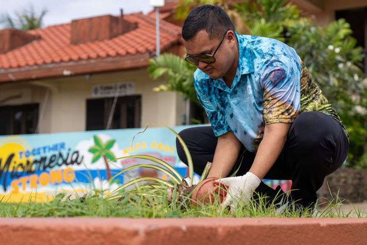Native trees planted at Hagåtña's Chamorro Village | Local News ...
