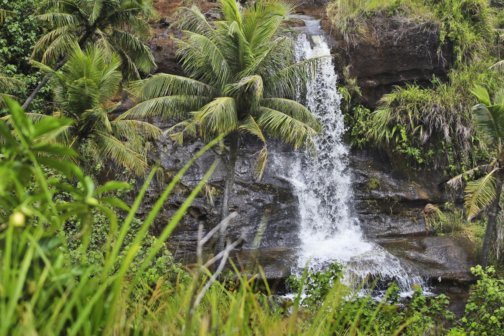 Set out for Guam's top waterfalls during the rainy season | Spots on ...
