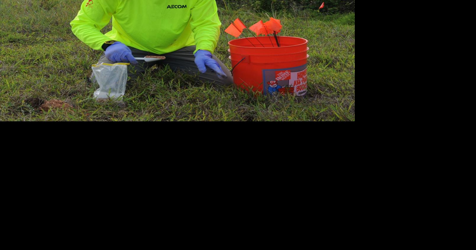 Amendment 'could pave the way' for Agent Orange compensation | Local ...