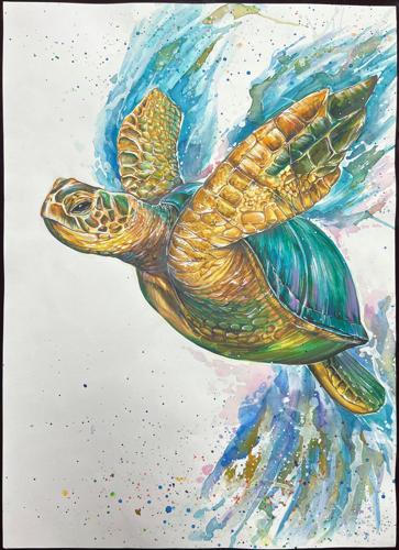 Junseo Kim wins 2023 NMI Congressional Art Competition | CNMI ...