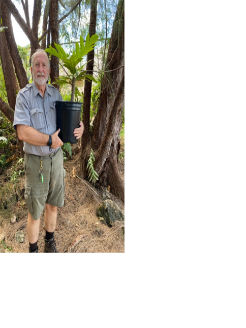 Learn to use and make lemmai flour at UOG workshop | Local News ...