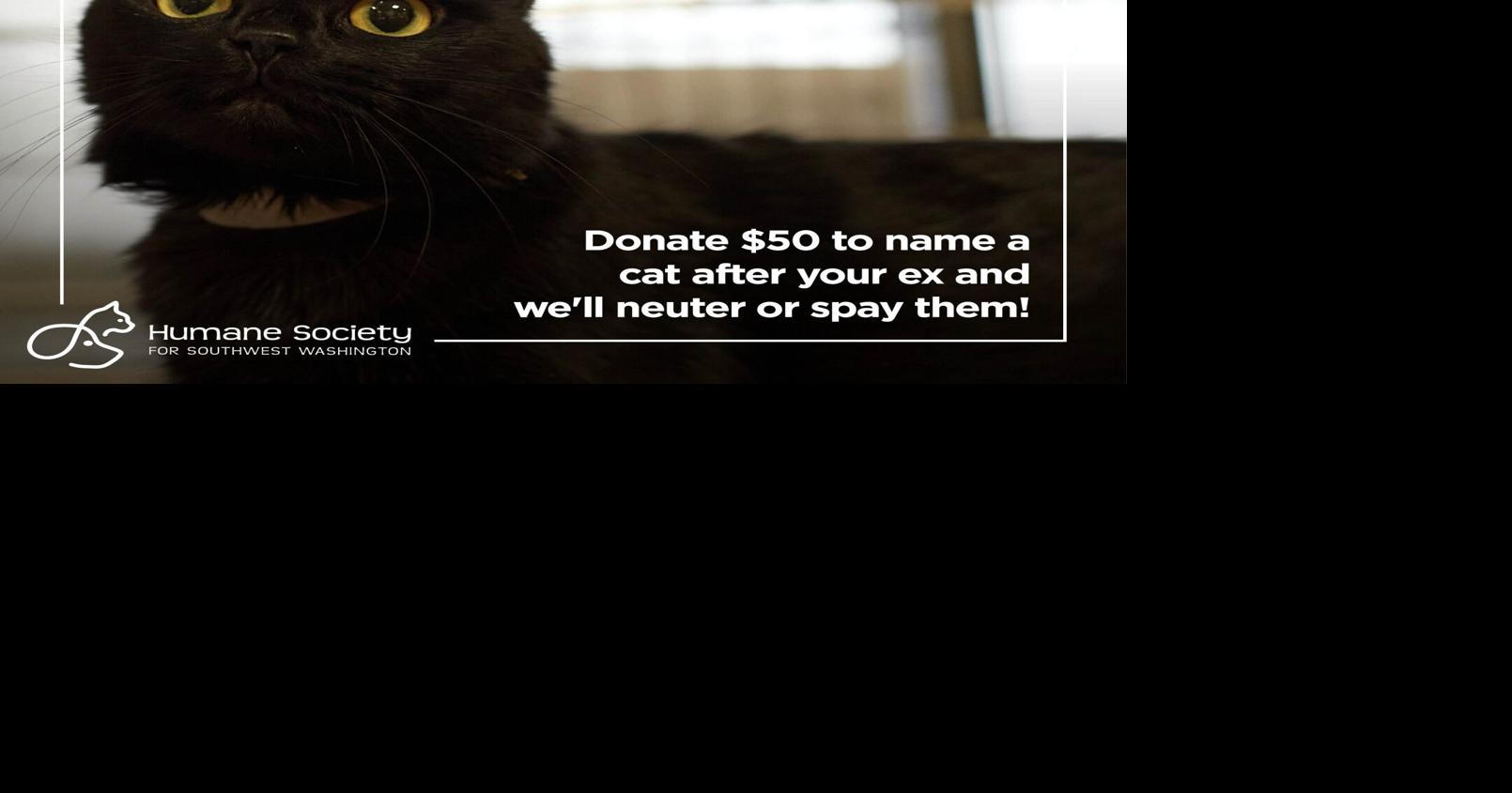 ‘Neuter your ex’ sounds like revenge. Shelters say it’s an act of love ...