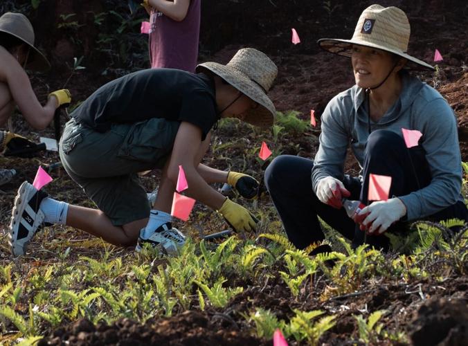 Over 1,200 trees planted to protect Guam's watersheds, coral reefs ...