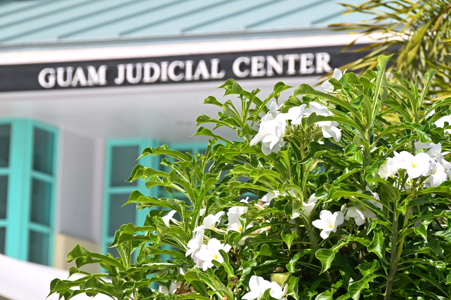 Dededo stabbing trial scheduled for Dec. 30 | Local News | postguam.com