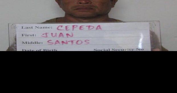 Man charged with theft of ifit trees for FestPac | Guam News | postguam.com