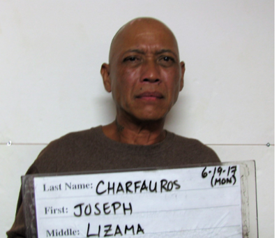 Allegedly drunk driver accused of speeding into bush | Local News ...