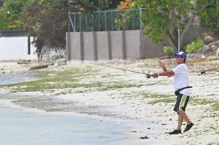 Guam’s fish are disappearing; island scientists now have data to show ...