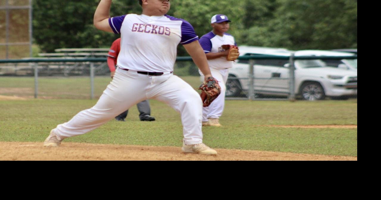 Dolphins, Friars, Royals, Titans make baseball playoffs; Geckos end ...