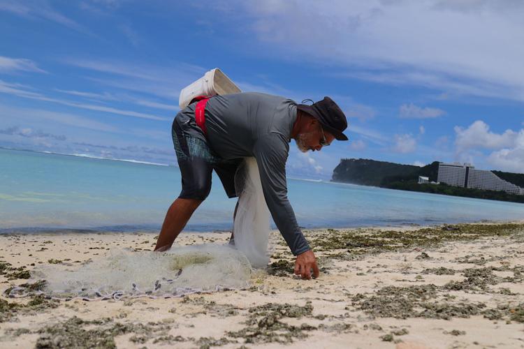 Fishermen say mañahak scarce this season | Guam News | postguam.com