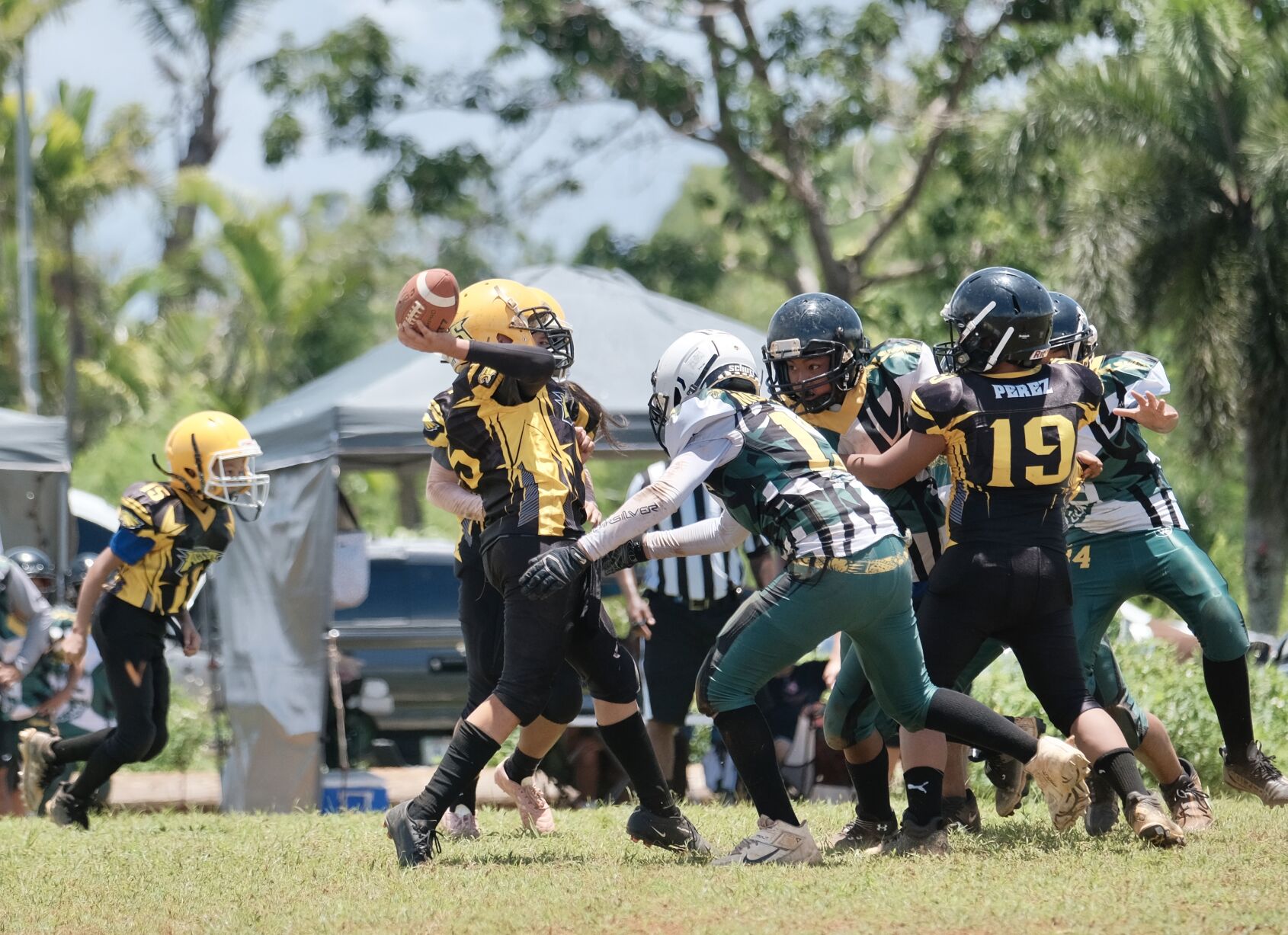 Youth football enters final week of regular season | Local Sports ...