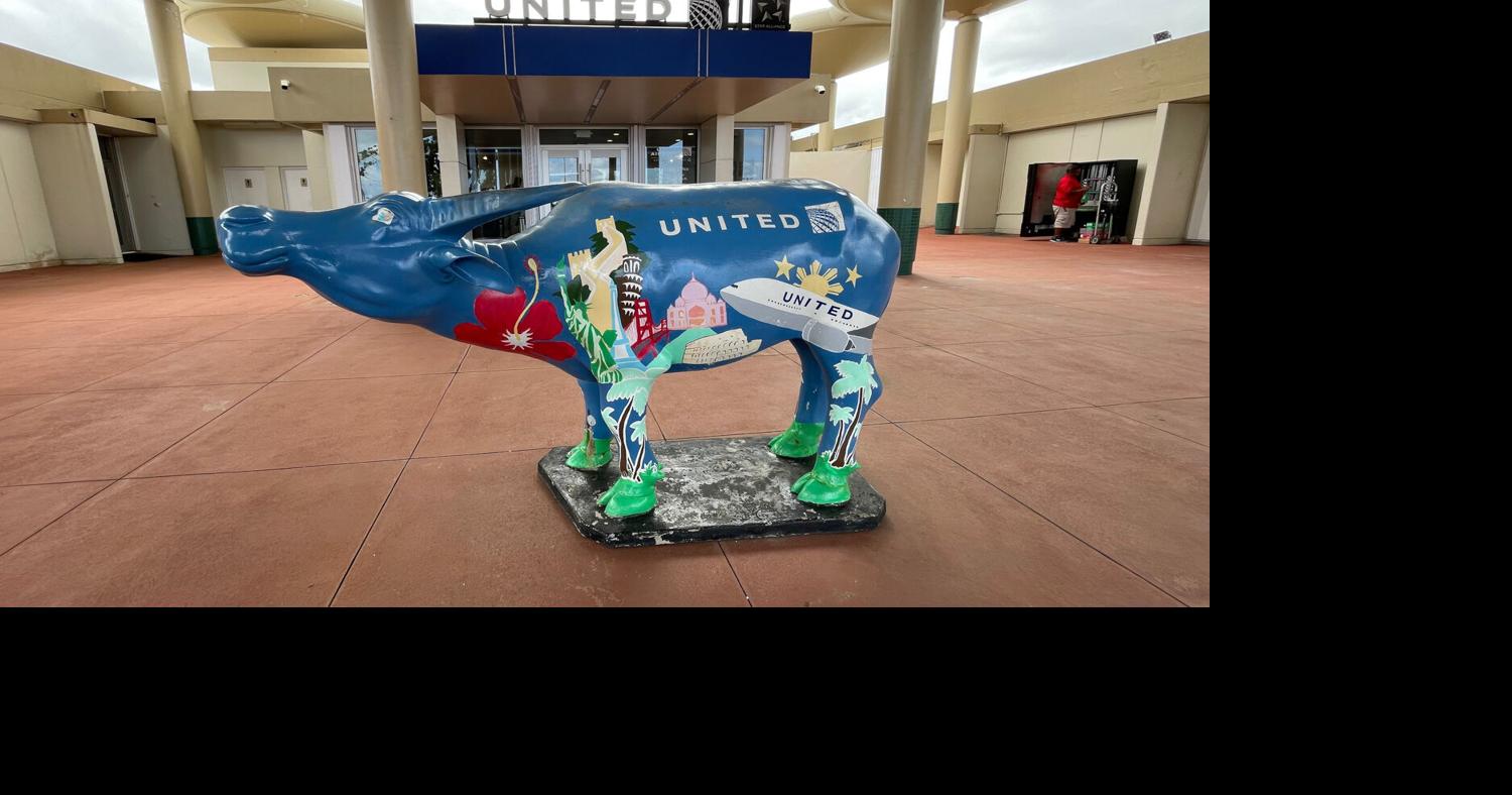 GVB, United Airlines announcing discount campaign for Liberation Day ...