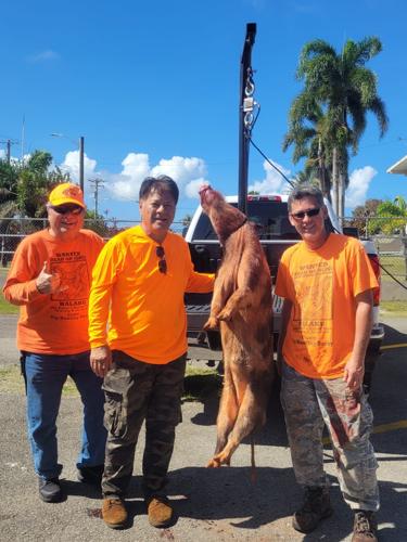 Guam Field to Fork Babui Hunt to cull feral pigs while feeding island ...