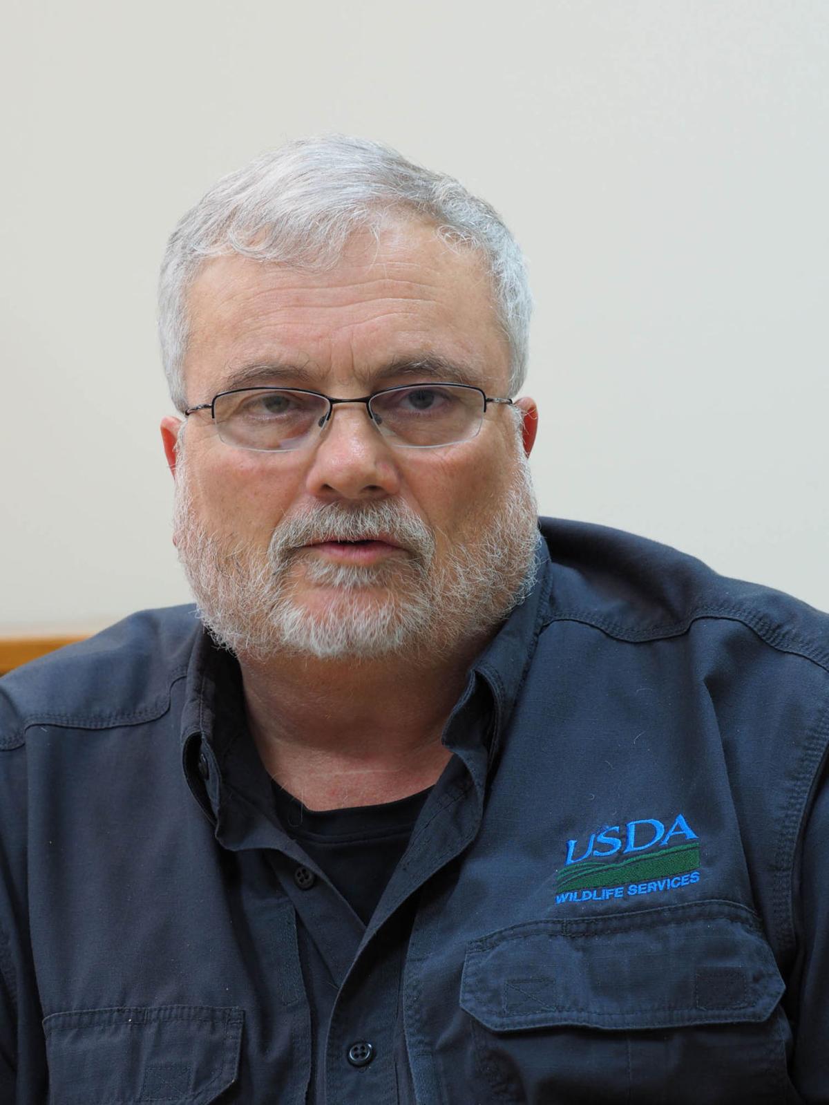 USDA: No impact to funds for aerial mice drop | Guam News | postguam.com