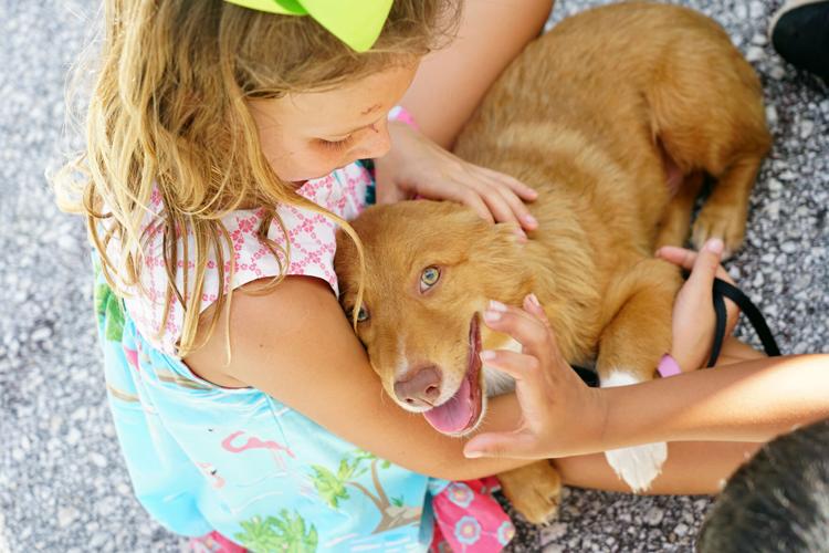 44 boonie dogs heading stateside for new homes | Local News | postguam.com