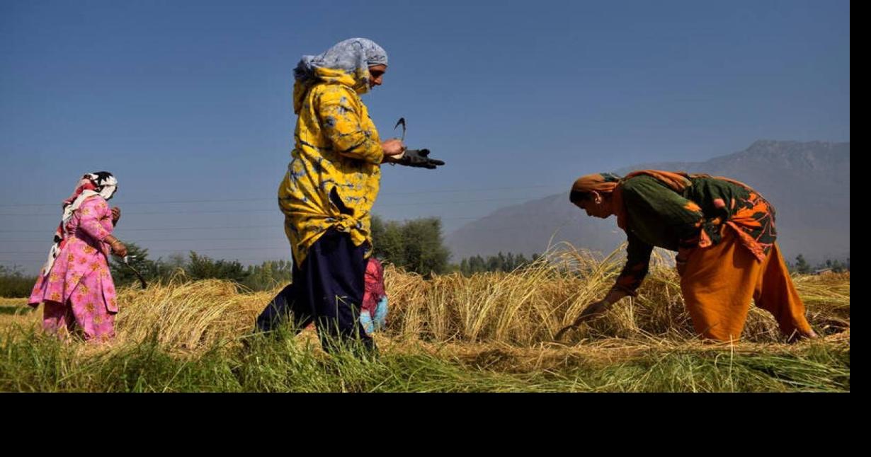 Worsening land inequality widens climate change and gender gaps | World ...