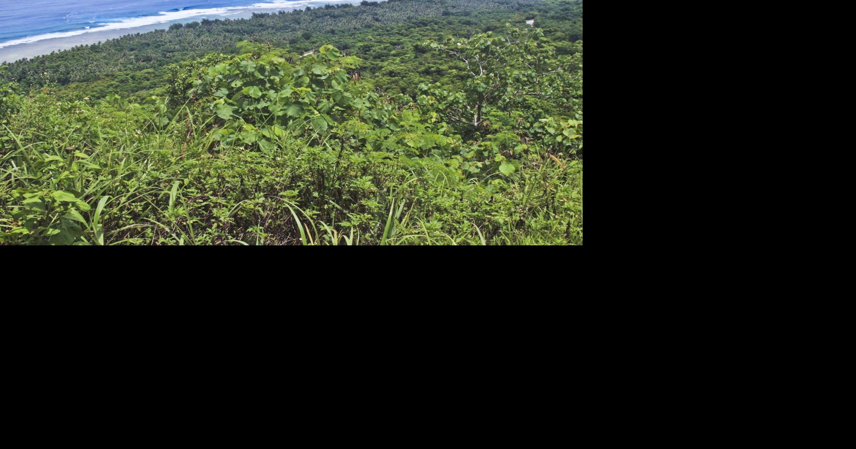 Ritidian: Guam’s greatest getaway | Spots on the Rock | postguam.com