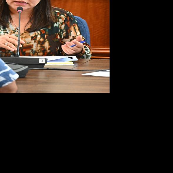 Legislature weighs position on AG SCOTUS abortion petition | Local News ...